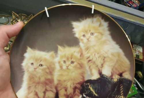 Декоративная тарелка Три очаровательных котенка