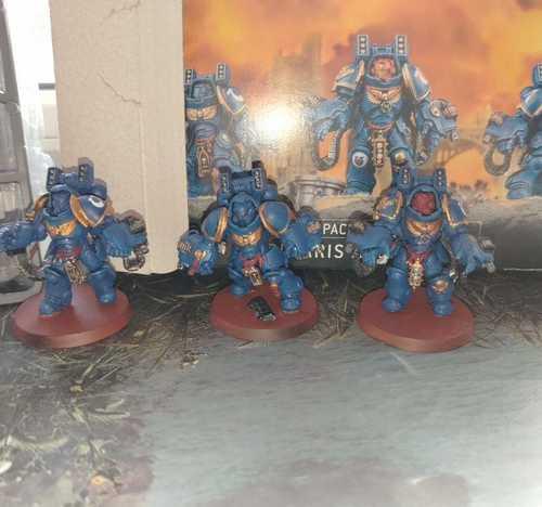 Warhammer space marines: primaris aggressors