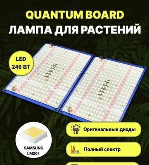 Quantum Board Samsung 240W LM301 iruvs
