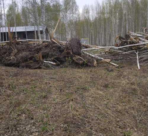 Лес, дерево (дрова бесплатно)
