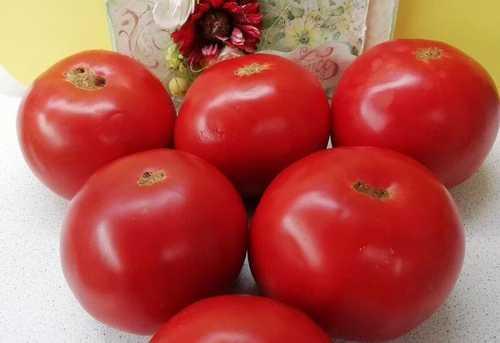 Старый сорт - семена помидор "Забайкальские