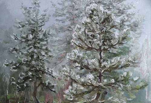 Иней, зимний пейзаж, сосна, ёлки. Картина ZhNataly