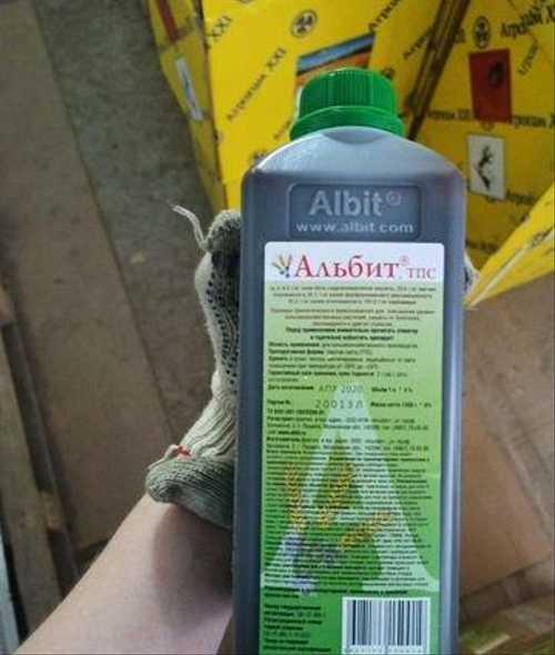 Альбит