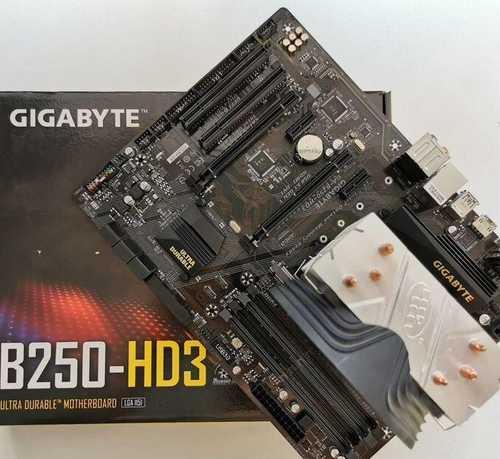 Intel i7-7700 + Gigabyte GA-B250-HD3