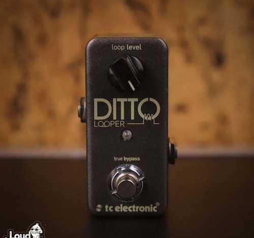 TC Electronics Ditto Looper лупер