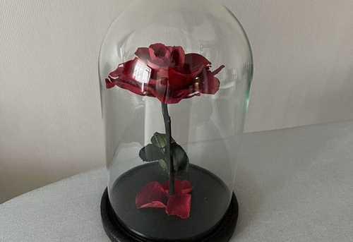 Роза в колбе, стекляный купол