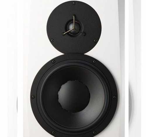 Студийный монитор Dynaudio LYD 8 B/W
