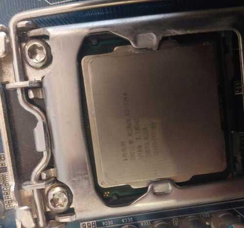 Процессор xeon e3 1240