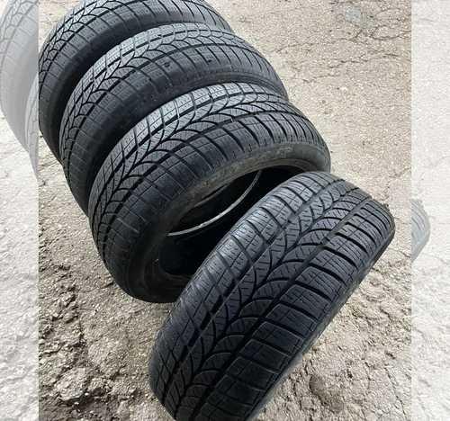 Tigar Winter 1 205/55 R16 94H