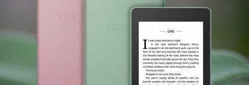 Amazon Kindle PaperWhite 2018 8Gb SO Шалфей