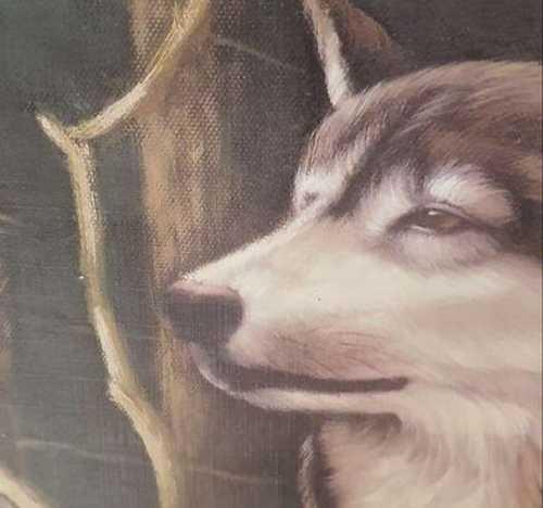 Картина Волк и Волчица