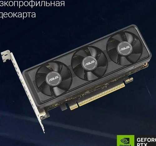 Nvidia GeForce RTX 5060 asus LP BRK 8Gb OC