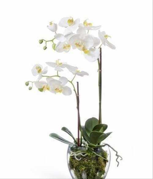 Орхидея Фаленопсис искусственная белая с мхом, кор