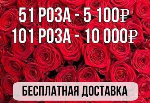 101 Роза 51 Роза с доставкой по Москве