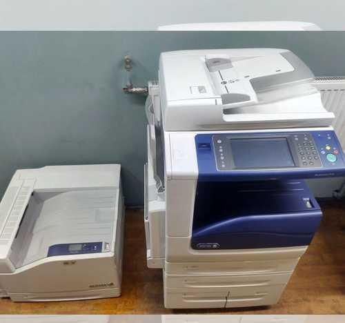 Xerox phaser 7500 и WC 7535