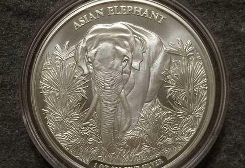 Монета Камбоджа 2023 Азиатский слон Серебро