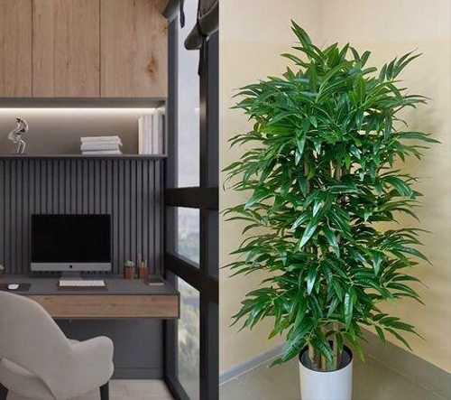 Бамбук Пушистый цветок в офис искусственный