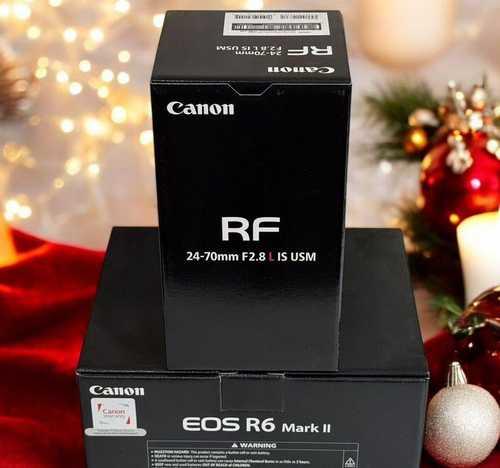 Canon EOS R6 Mark ii Kit RF 24-70mm F2.8L