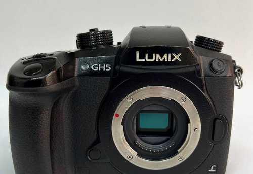 Фотоаппарат panasonic GH-5 body