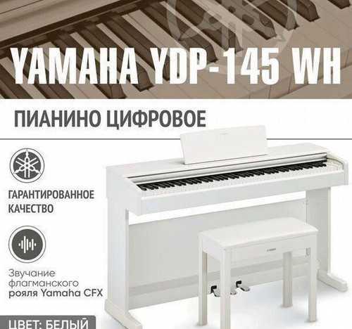 Yamaha arius ydp 145 wh