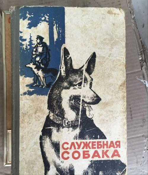 Служебная собака Зубко