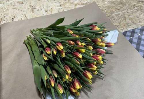 Тюльпаны крупные букеты/штуки цвета разные