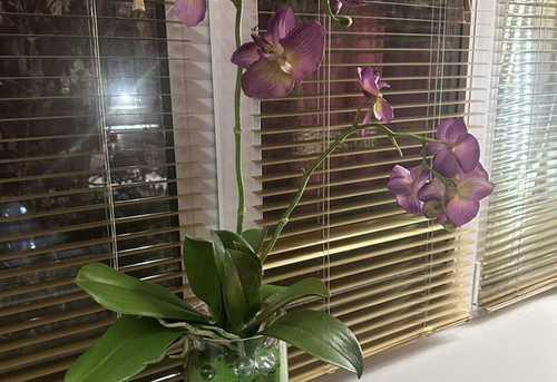 Орхидея искусственная