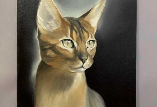 Картина маслом Абиссинская кошка