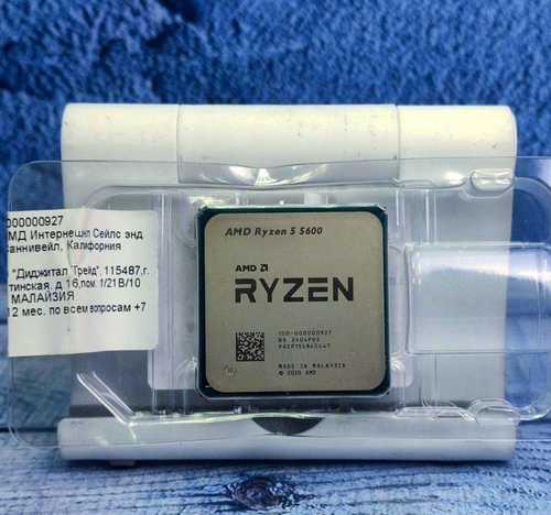 Новый процессор AMD Ryzen 5 5600