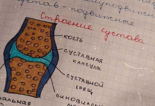 Биология химия егэ огэ