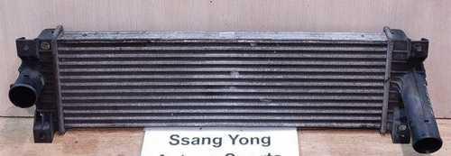 Радиатор интеркулера SsangYong Actyon Sports 2, 14
