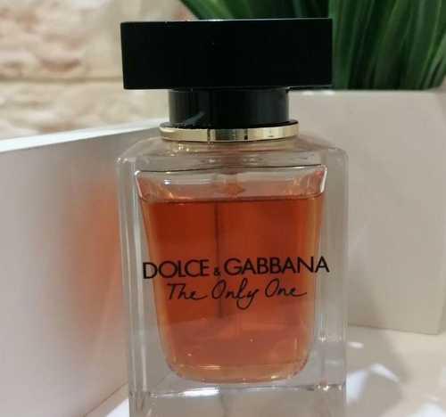 Dolce gabbana The only one