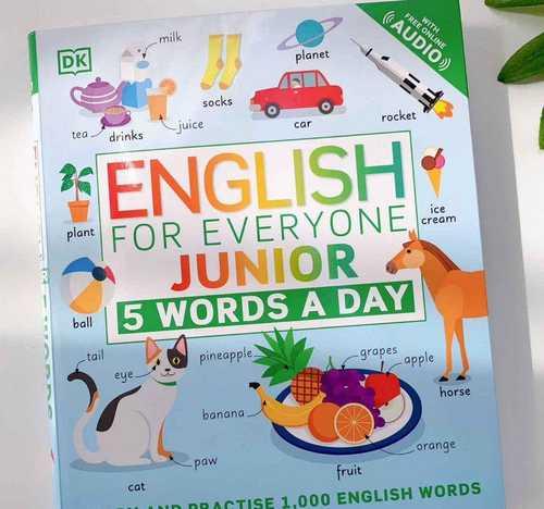 Учебник English for Everyone Junior 5 Words a Day