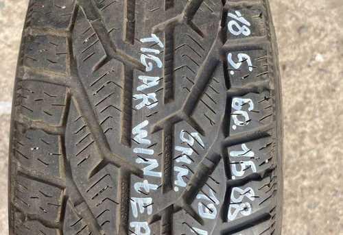 Tigar Winter 185/60 R15 88T