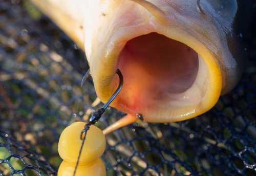 Carp PRO Крючок Black Nickel Wide Gape Classics №4