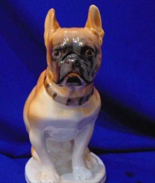 Фарфоровая статуэтка собака - "Бульдог" лфз (Ленин