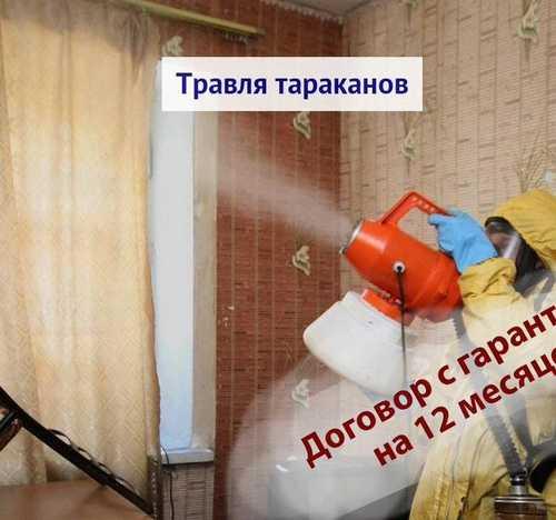 Уничтожение клопов тараканов грызунов блох