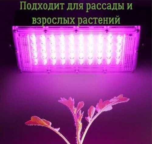 Фито лампа 50w для растений Grow led полный спектр