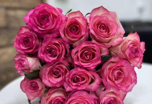 Свежие розы любой цвет и размер с доставкой