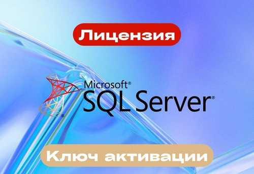 Microsoft SQL Server Ключ актуальный