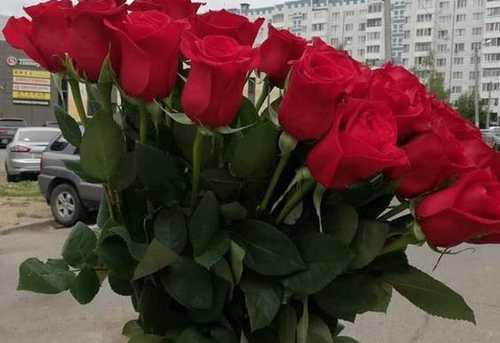 Цветы Доставка Розы Букеты 11 21 31 Ставрополь