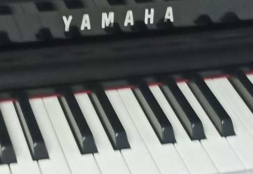 Yamaha clavinova clp 625