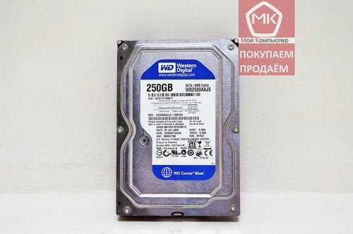 250GB SATA Western Digital WD2500aajs