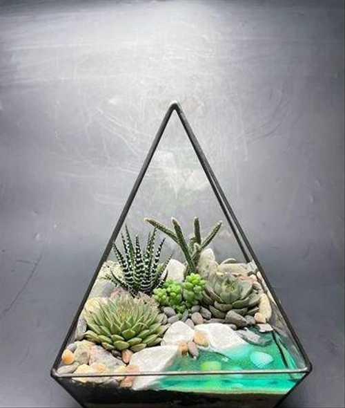 Флорариум финансовая пирамида аква