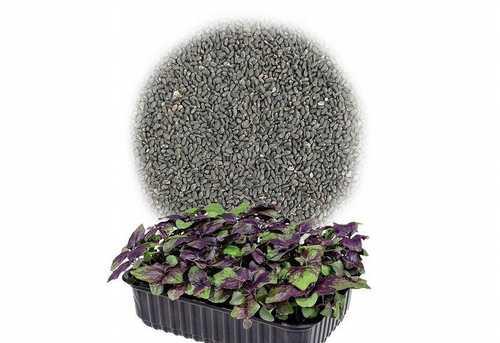 Семена Микрозелень от 50 грамм арт.0014