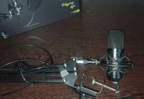 Микрофон Ritmix RDM-169 USB Black