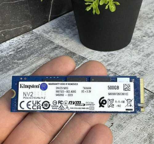 SSD m 2 kingston NV2 500Gb