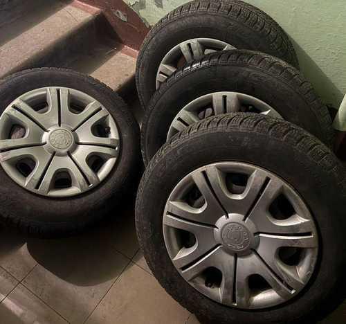Tigar Winter 1 175/70 R14