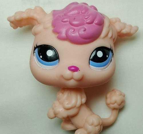 Littlest pet shop пудель