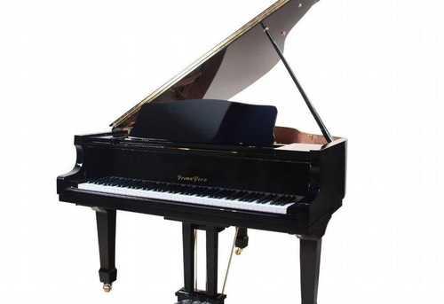 Акустический рояль PrimaVera 210 цвет: черный
